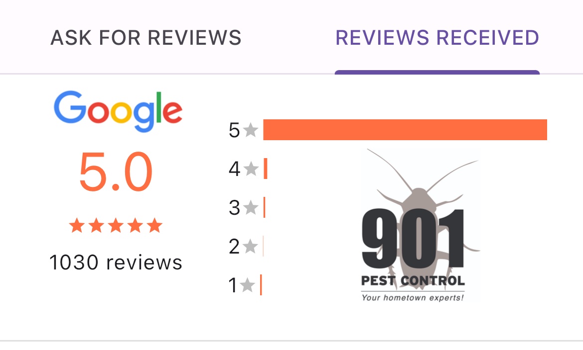 Google 5 Star Rating | 901 Pest Control