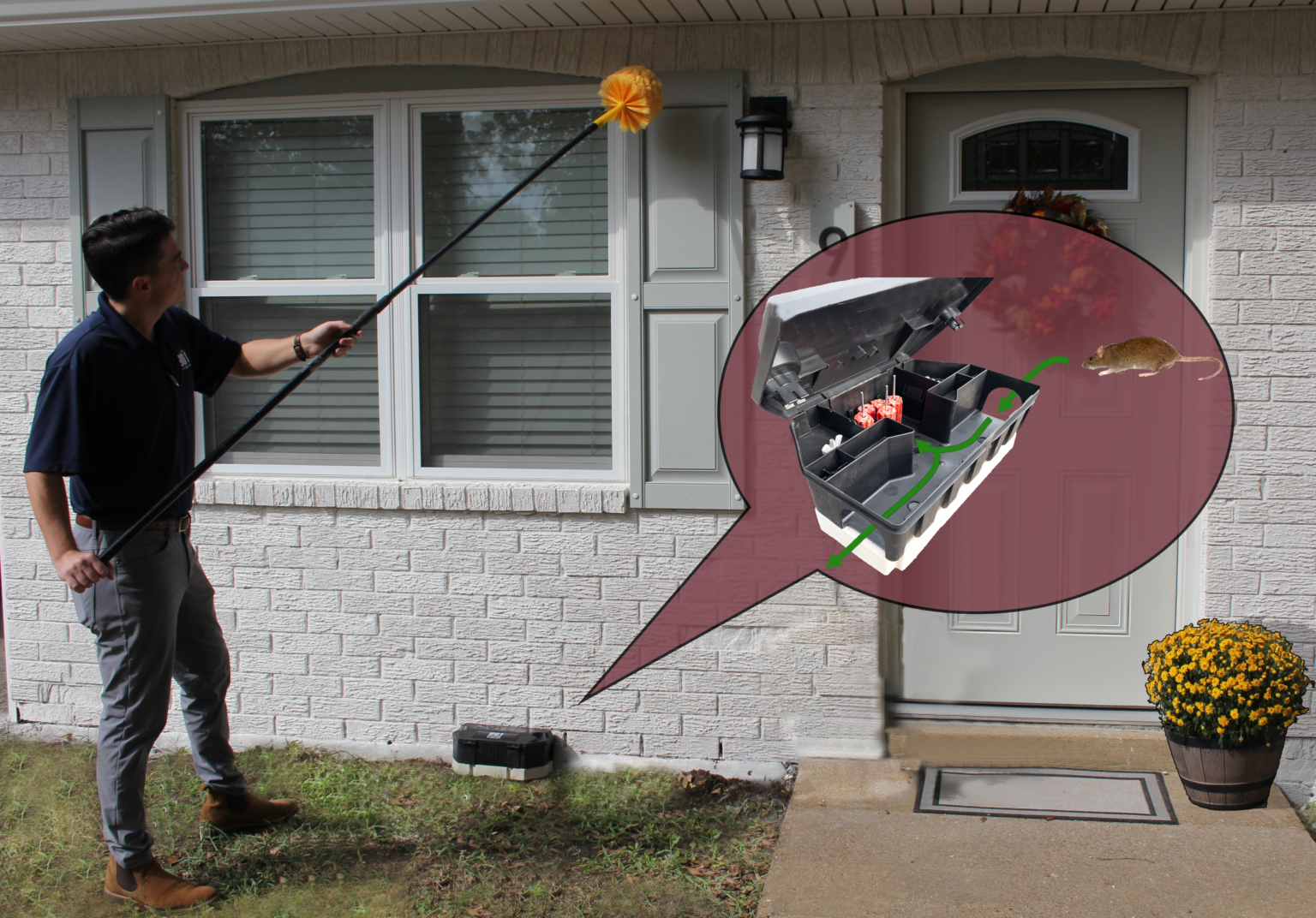 Rodent Baiting Explained | 901 Pest Control